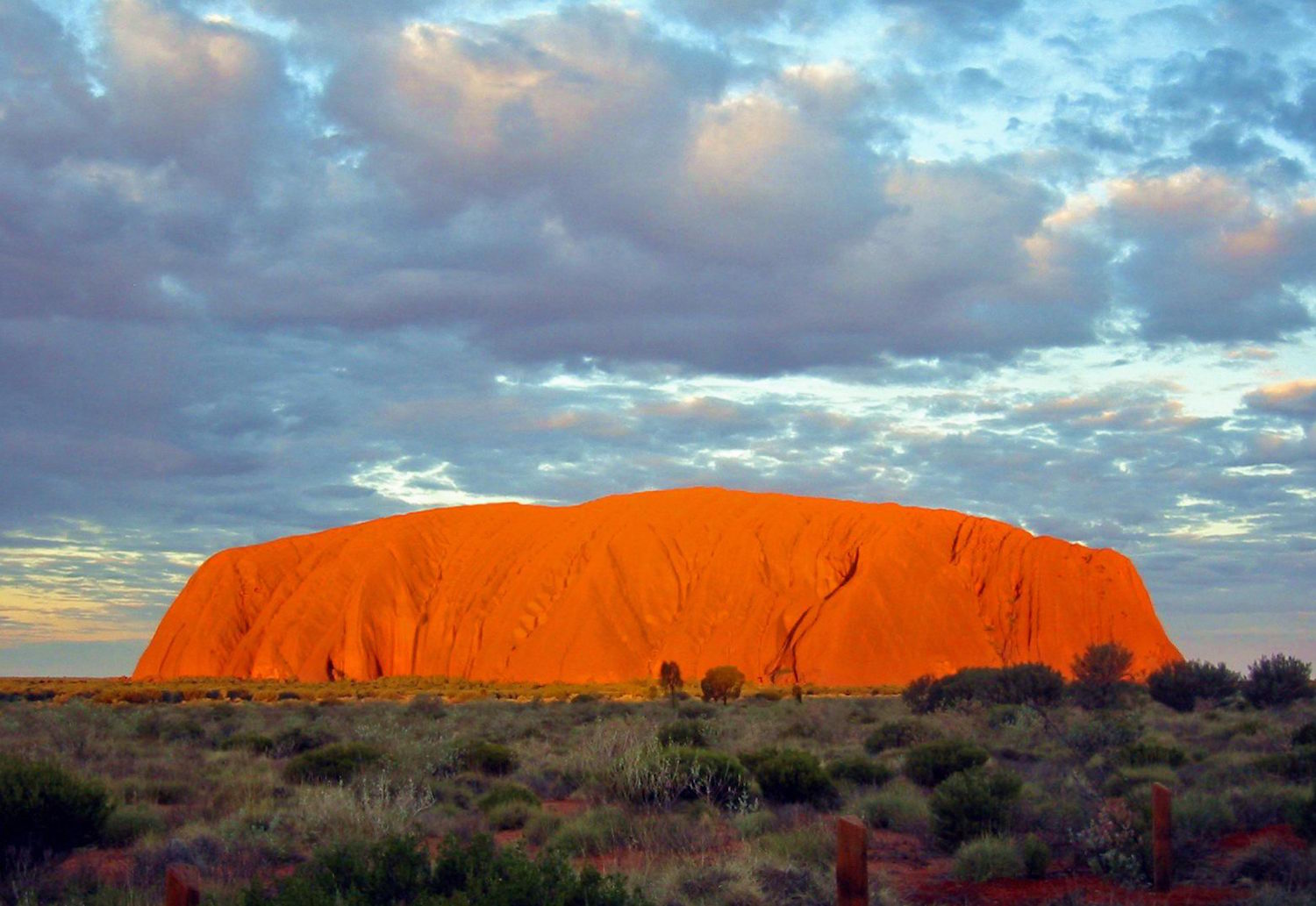 Abenteuer Australien: Tipps für den Urlaub eures Lebens | i-ref